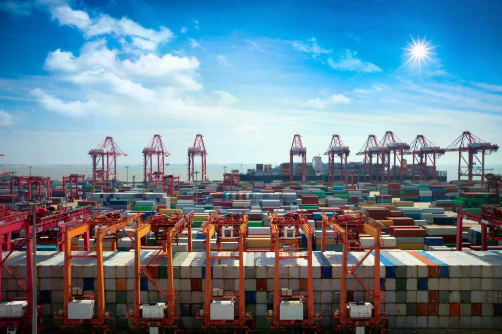EMPTY CONTAINERS ACCUMULATE IN CHINESE PORTS, HIGHLIGHTING WEAK DEMAND